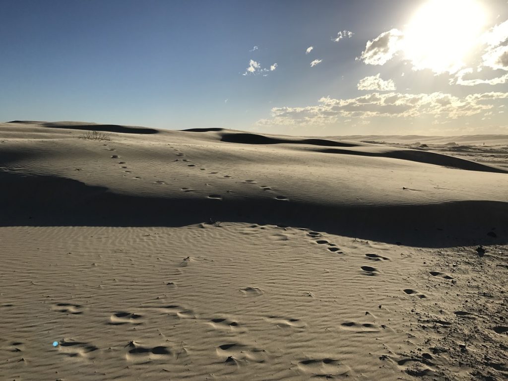What to do in port Stephens during the summer